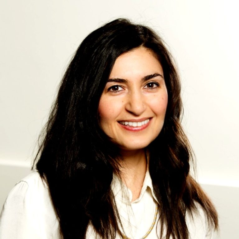 A2: Promising Practices for Incorporating Lenses into Evaluation ...